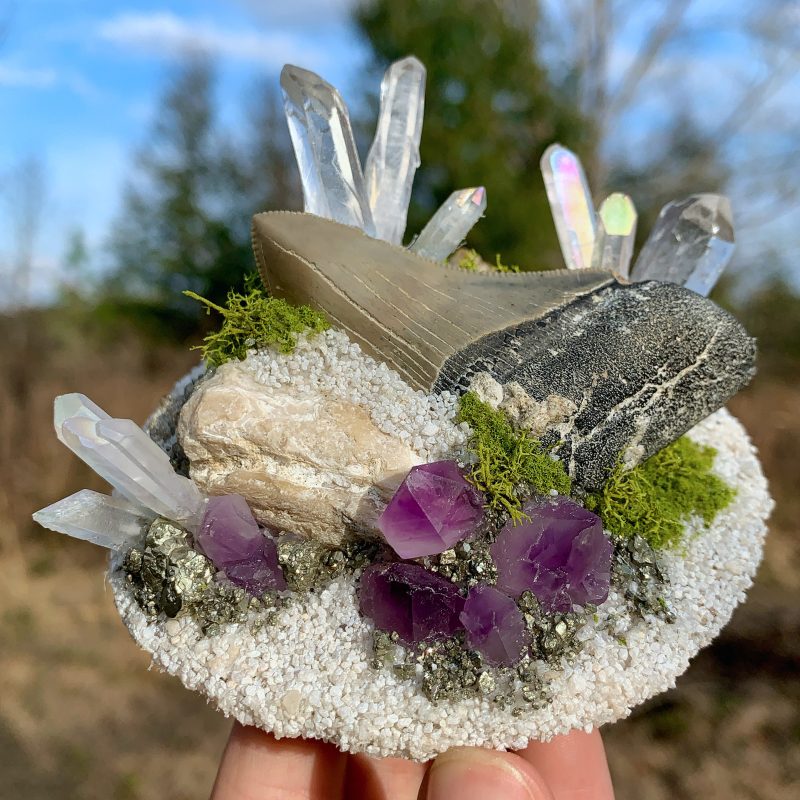 Megalodon Crystal Sculpture - PaleoCris