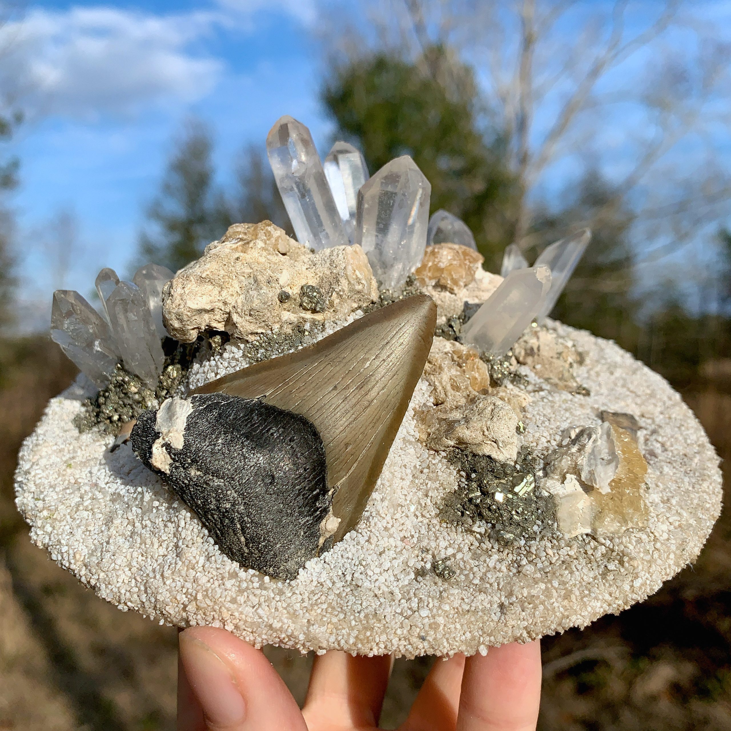 Megalodon Crystal Sculpture - PaleoCris