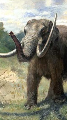 Investigations - PaleoCris