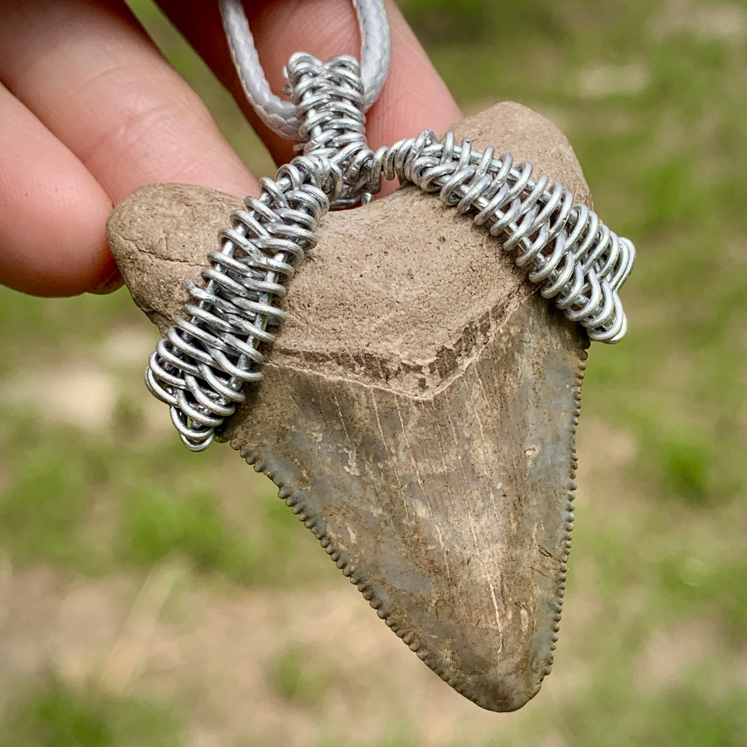 Megalodon Shark Tooth Necklace | Miocene - PaleoCris